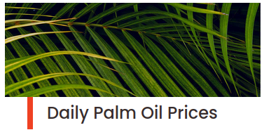 RMG COMMODITIES (M) SDN BHD